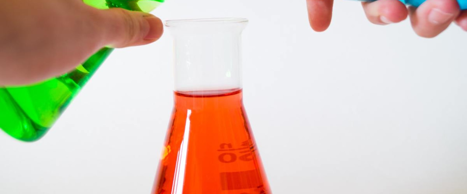 The Science Behind Judging Projects at the Broward County Science Fair