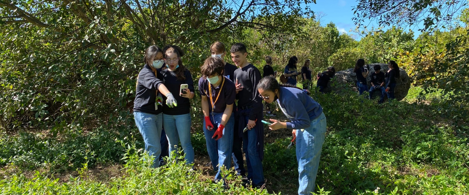 Volunteer Opportunities at the Science Fair in Broward County, FL